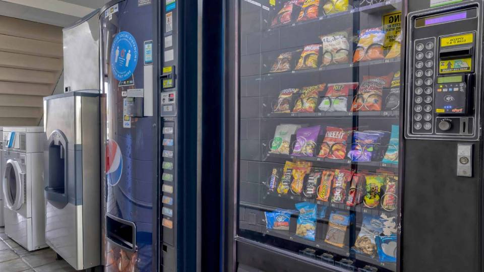 Motel 6 | Book Now and Save on Your Next Stay